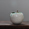 Remon Jephcott - Large Apple